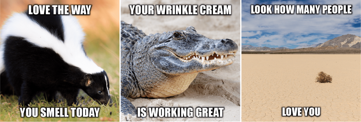 GitHub - drivendataorg/hateful-memes